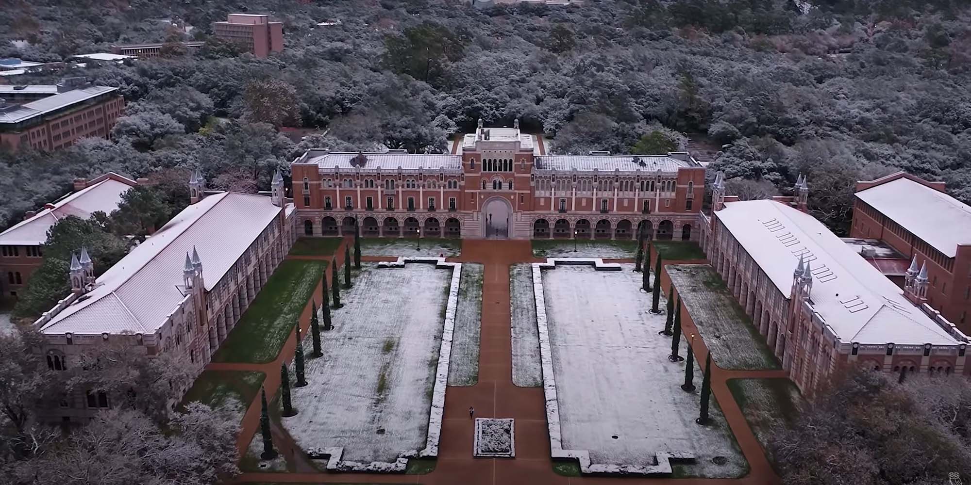 Zoo Lights | Office of Admission | Rice University