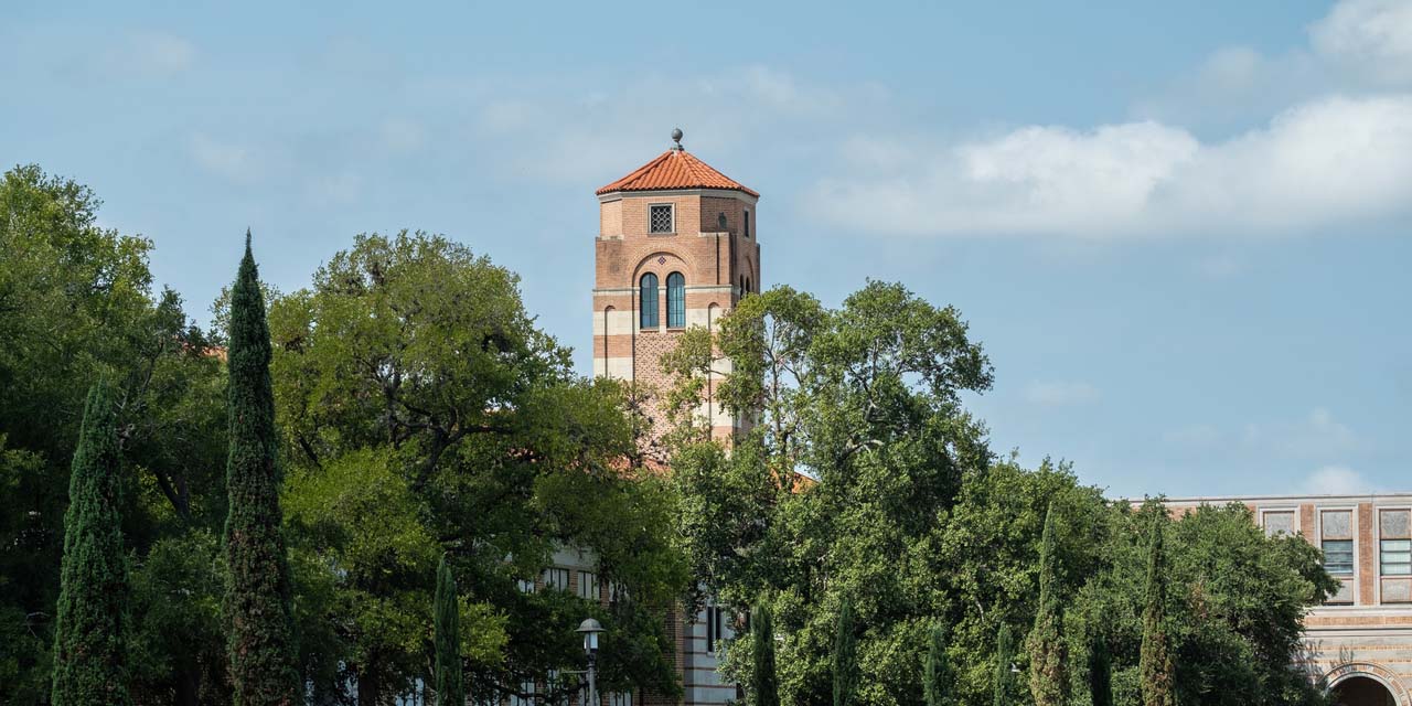 Meet Linda Wu | Office of Admission | Rice University