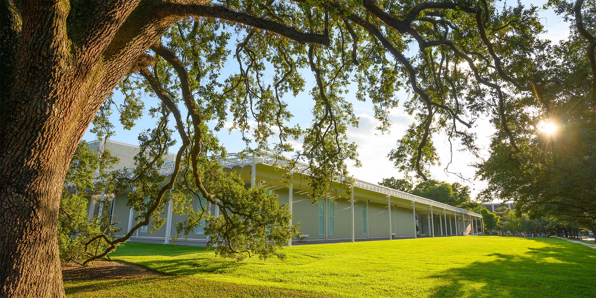 Exploring Houston’s Menil Collection | Office of Admission | Rice ...